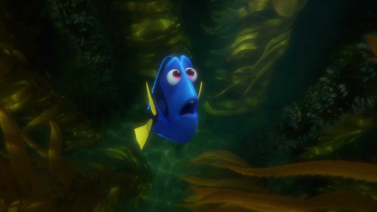 How An Unexpected Cameo Became The Funniest Joke In 'Finding Dory ...