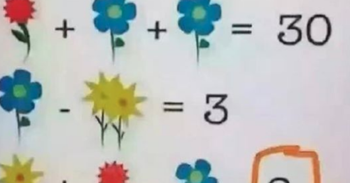 Flower Maths Puzzle: Adults Debate Over Answer To Difficult Question ...