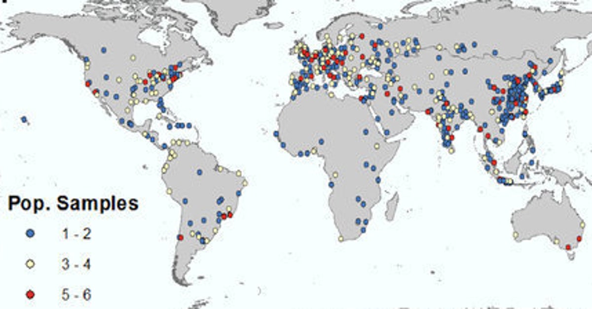 Watch Cities Spread Across The Planet Over 5,000 Years | HuffPost The ...