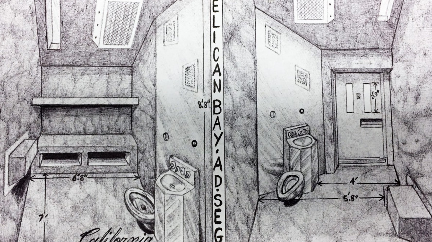 Ending Inmate Isolation: Inside the Battle to Stop Solitary Confinement ...