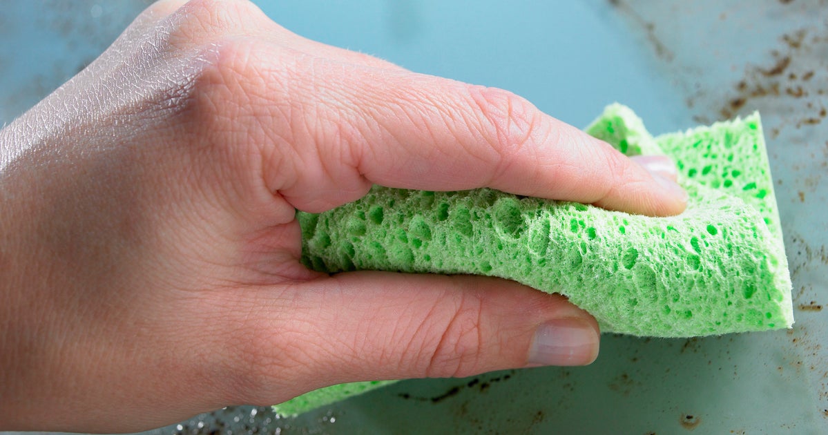 Your Kitchen Sponge Is Full Of Bacteria. Here's How To Clean It ...