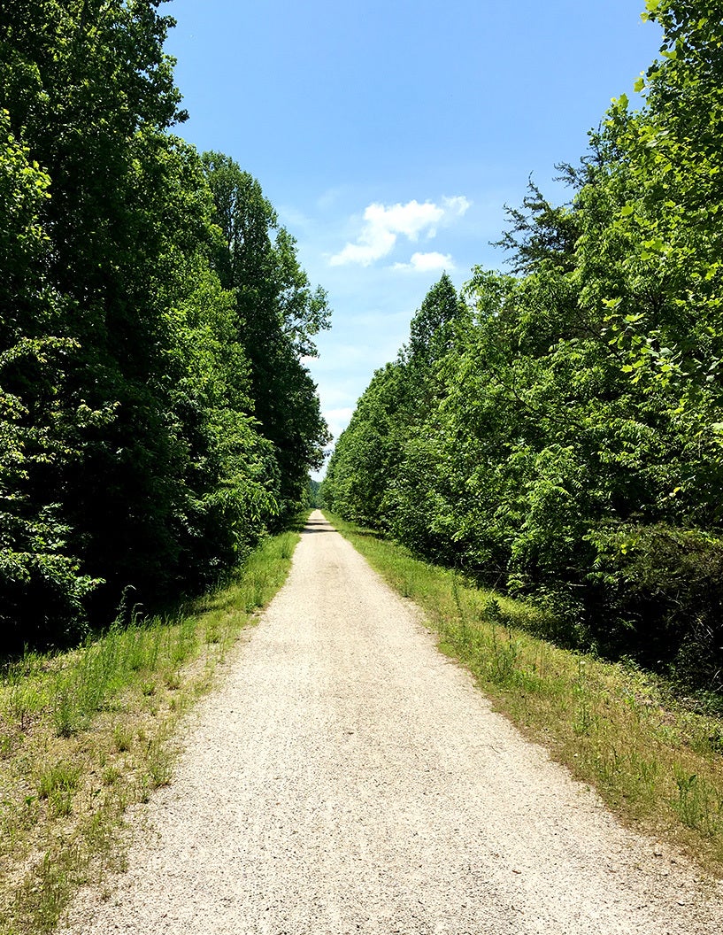 Exploring the High Bridge Trail | HuffPost