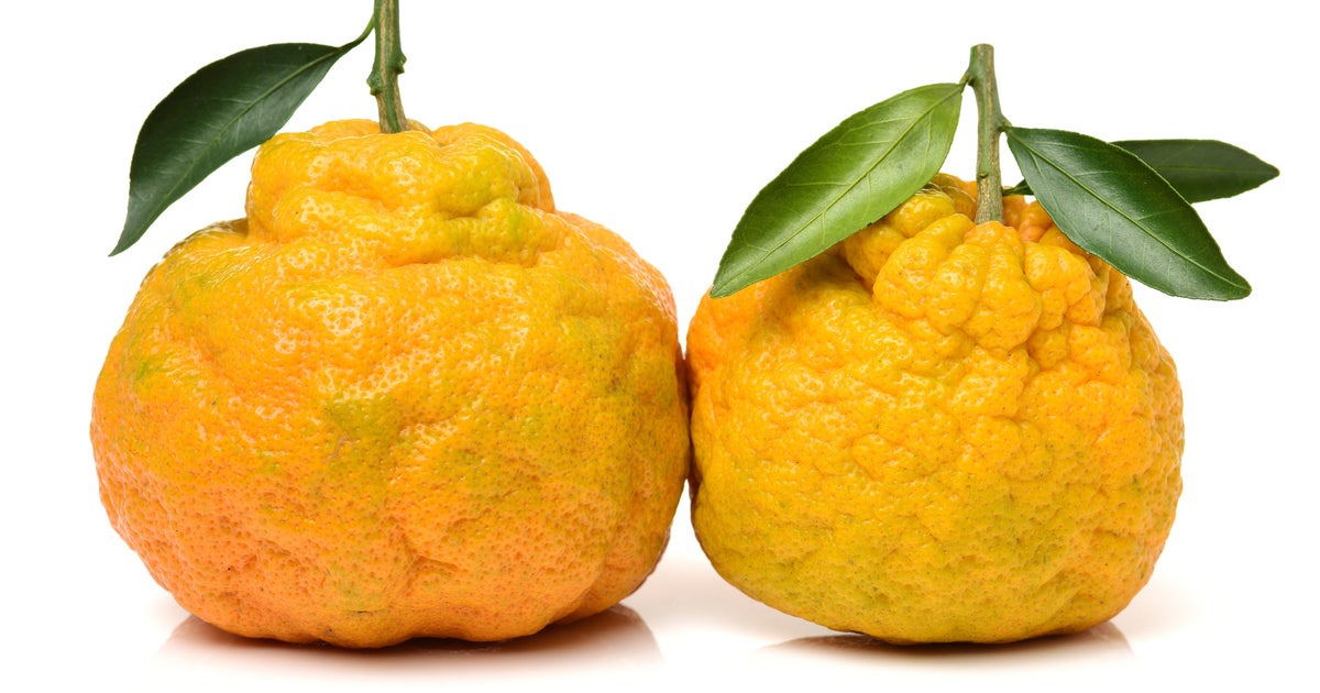 The Psychological Reason Why We Hate Ugly Fruits | HuffPost UK Science