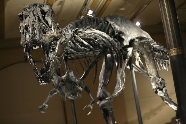 Dinosaur Extinction Started By Massive Volcanic Eruptions Before ...