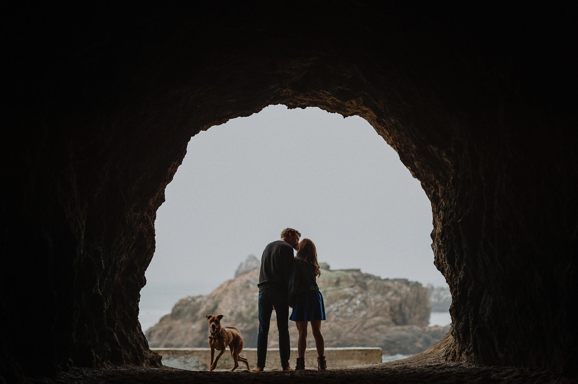 25 Pets Who Stole The Show In Their Humans' Engagement Photos ...