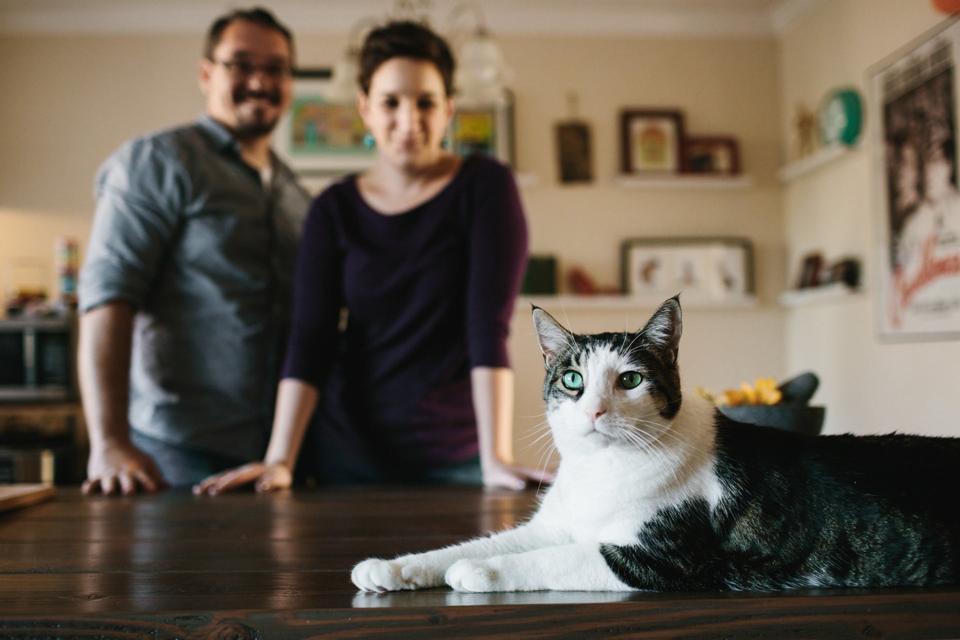 25 Pets Who Stole The Show In Their Humans' Engagement Photos ...