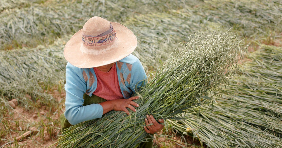 New U.S. Bill Empowers Small Farmers As Way To Fight Hunger | HuffPost ...