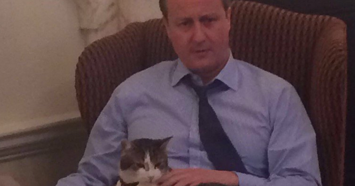 PMQS: Watch Cameron's Denial Over Larry The Cat | HuffPost UK Politics