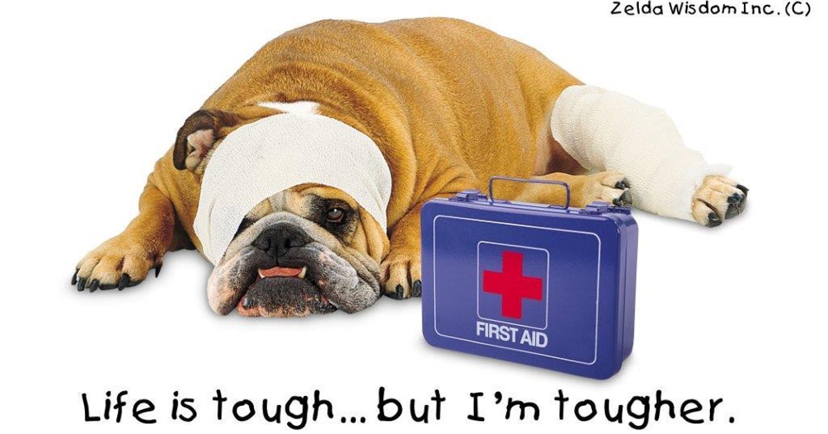 Blog 1 in the 50+ Successfully Entrepreneur Series - The Carol Gardner ...