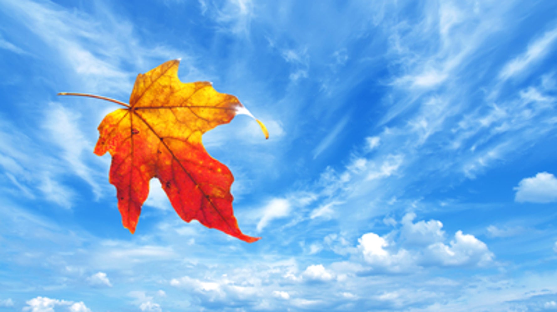 Accepting Death as a Part of Life | HuffPost Contributor