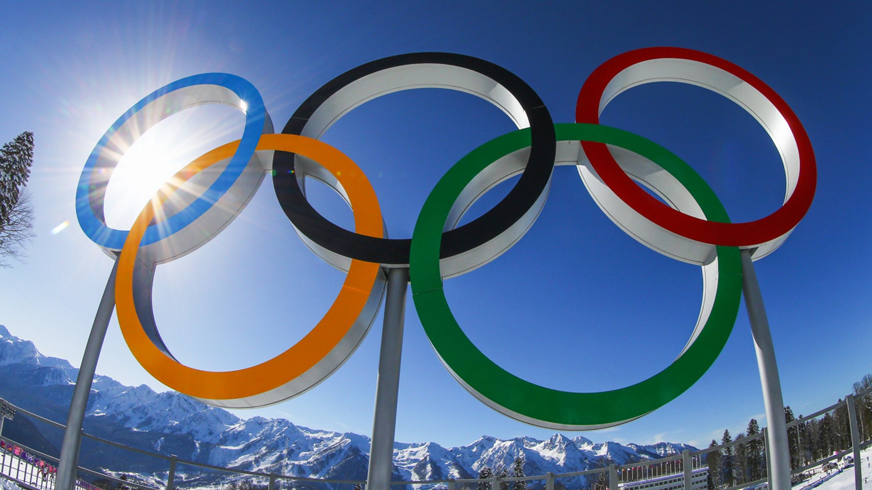 The 5 Lessons I Learned From The Olympics | HuffPost Life