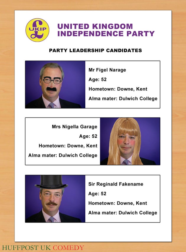 Ukip Leadership Election Candidates Shortlist Released | HuffPost UK