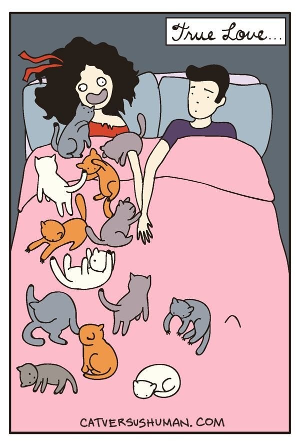 'Cat Versus Human' Illustrations Perfectly Summarise What It's Like To ...