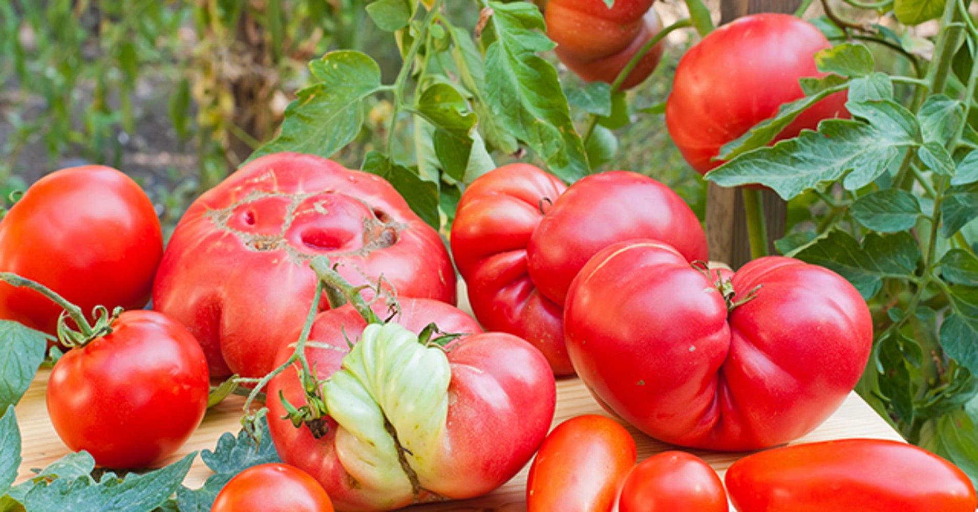 10 Ways To Make 'Ugly' Fruits And Vegetables Beautiful | HuffPost Life