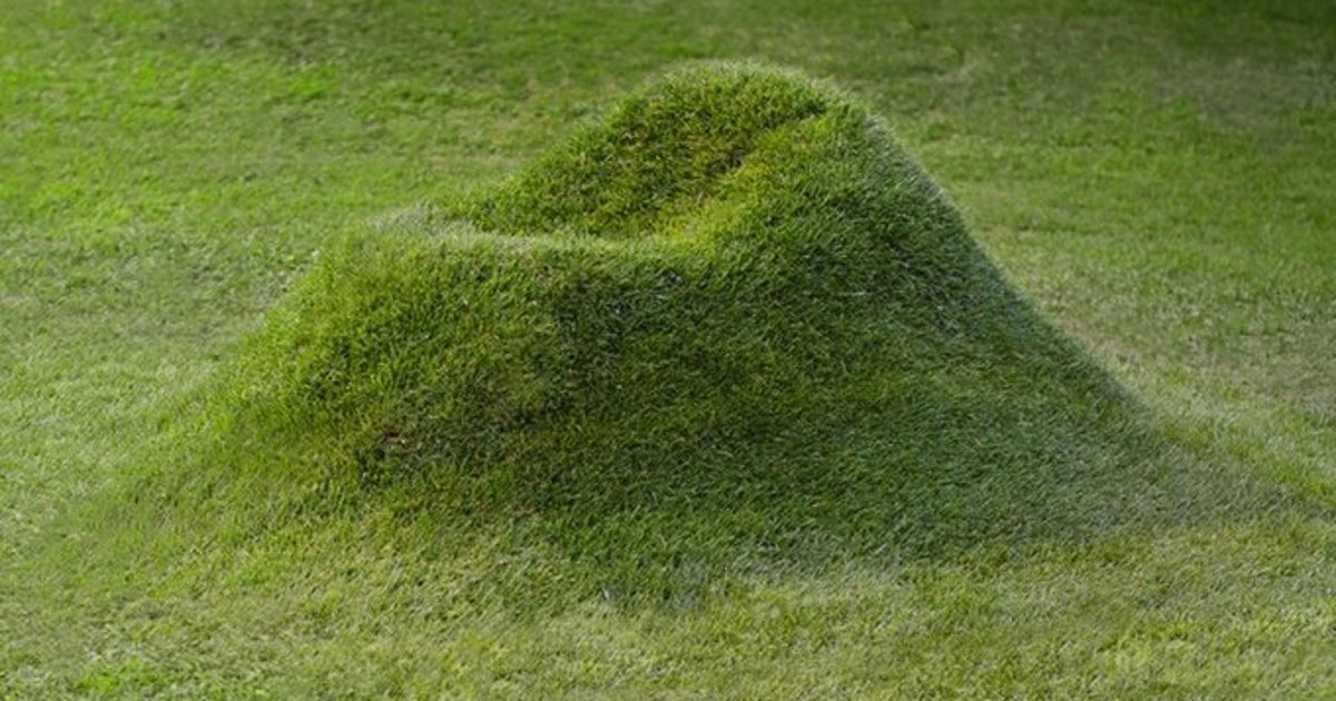 This Grow-Your-Own Grass Chair Is All Kinds Of Backyard Goals ...