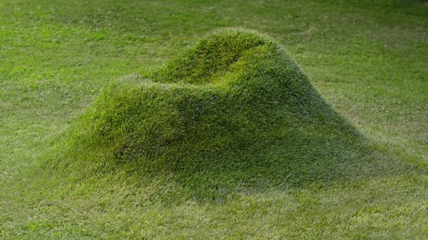 This Grow-Your-Own Grass Chair Is All Kinds Of Backyard Goals ...