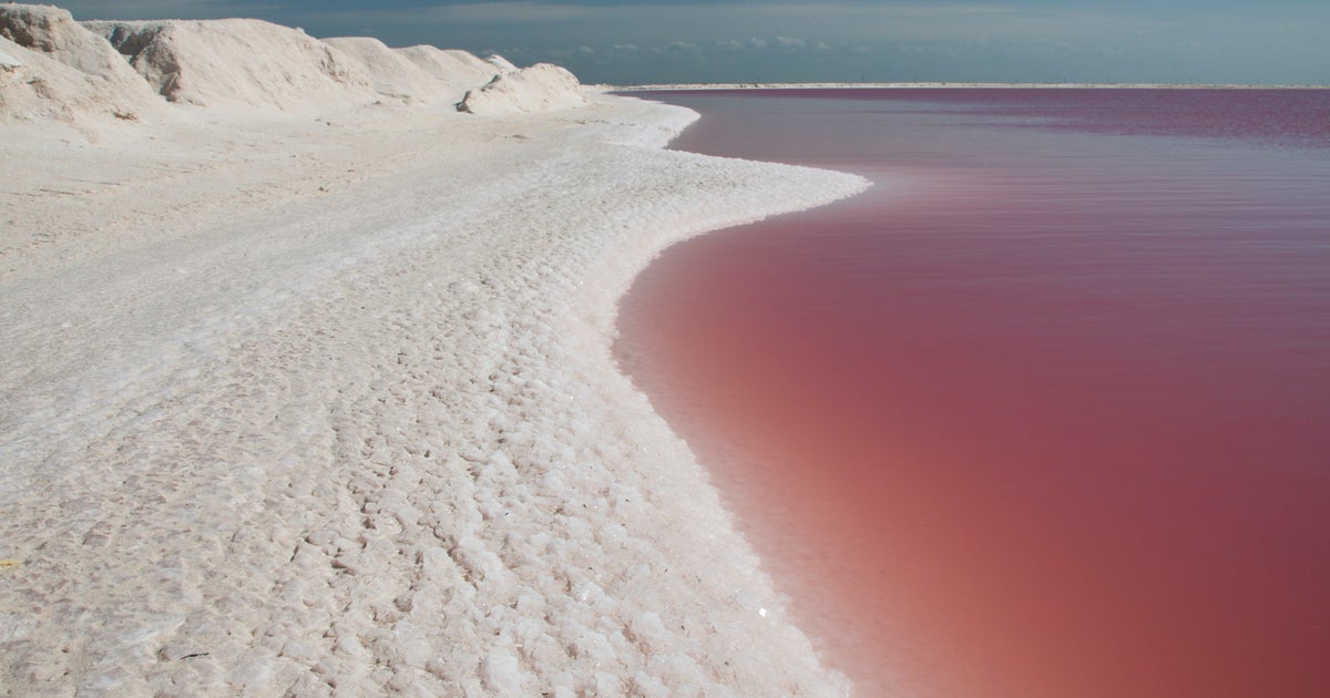 Mexico's Sparkling Pink Lagoon Is Completely Out Of This World ...