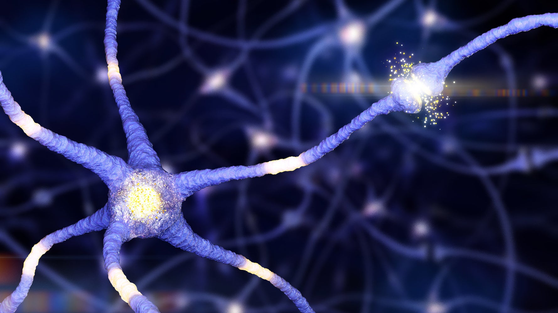 IBM’s New Artificial Neurons a Big Step Toward Powerful Brain-Like ...