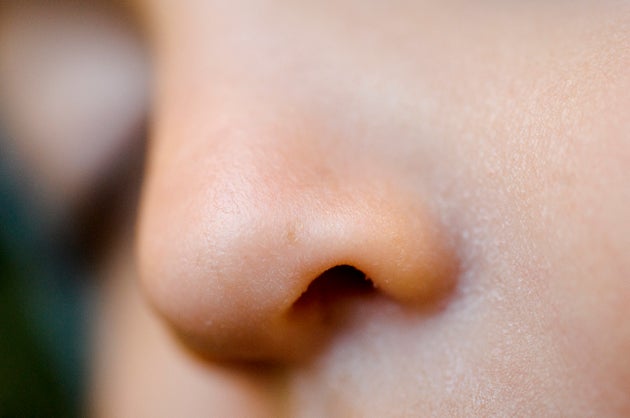 Your Nose Is Filled With Bacteria That's Actually Keeping You Safe ...