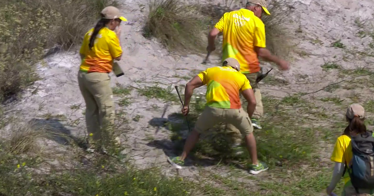 Snake Catching Makes Its Olympic Debut At Rio 2016 | HuffPost Sports