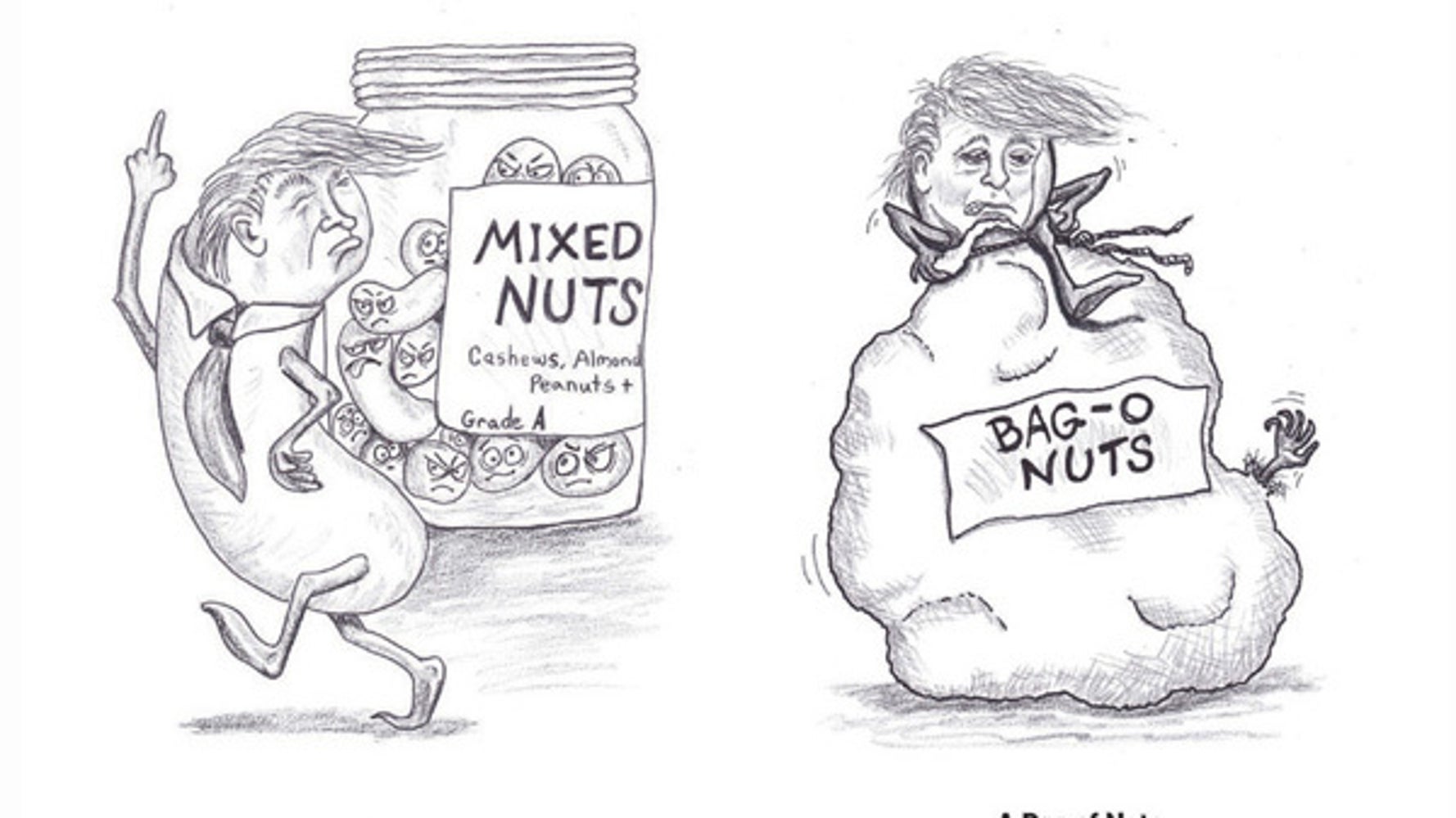 Trump Is a Nut Website Echoes View of Republican Insider | HuffPost ...