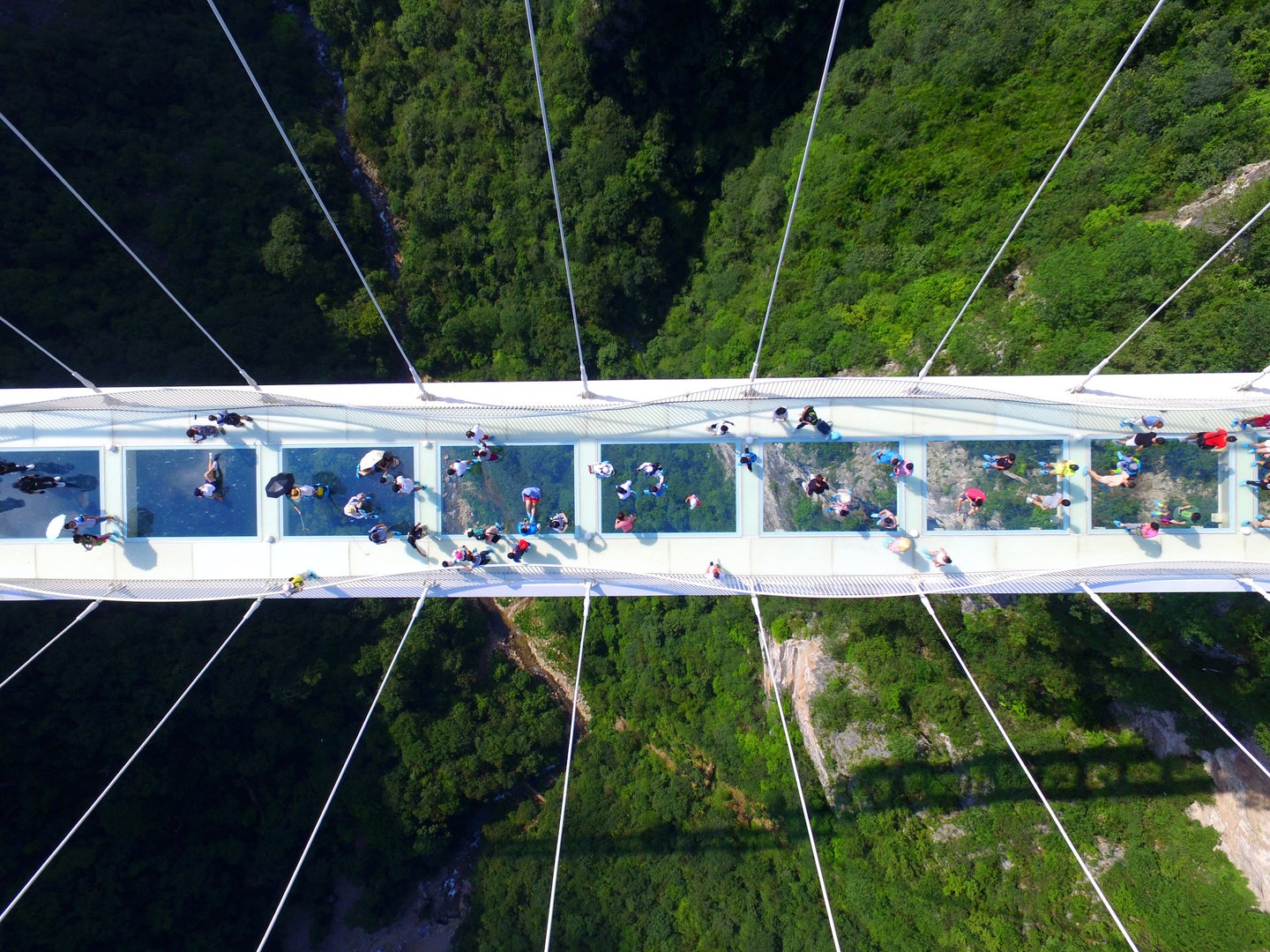 China's New Glass Bridge Is The Highest, Longest, And Scariest Yet ...