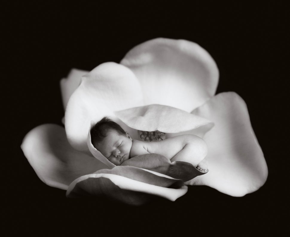 Anne Geddes, The Photographer Who Put Babies In Flower Pots, Is Still ...