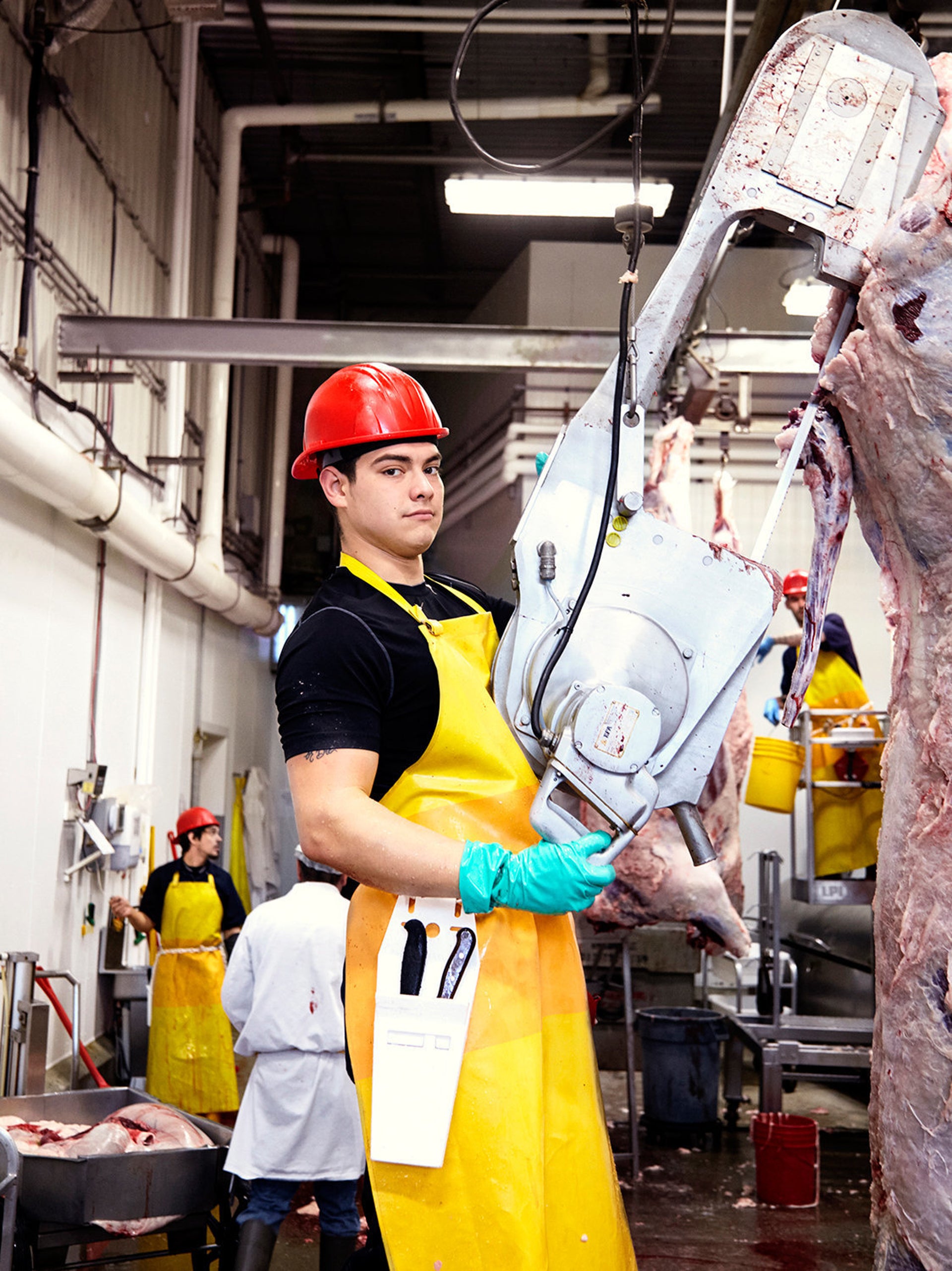 This Slaughterhouse Will Let You Watch What Actually Happens Inside ...