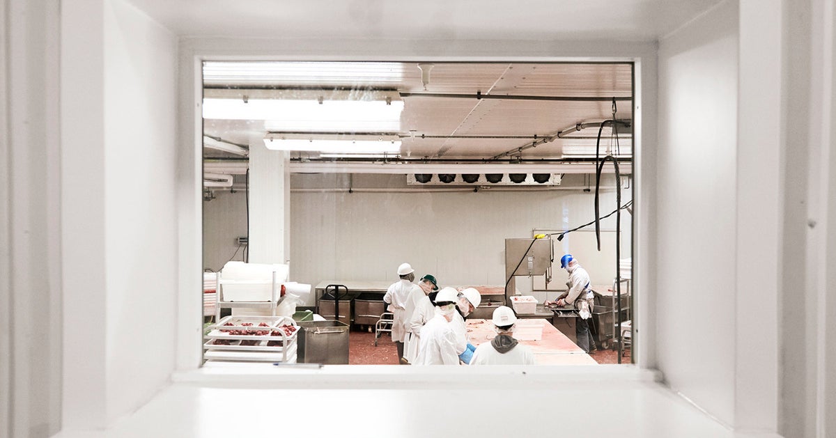 It Isn't Easy Being A 'Humane' Slaughterhouse | HuffPost UK Politics