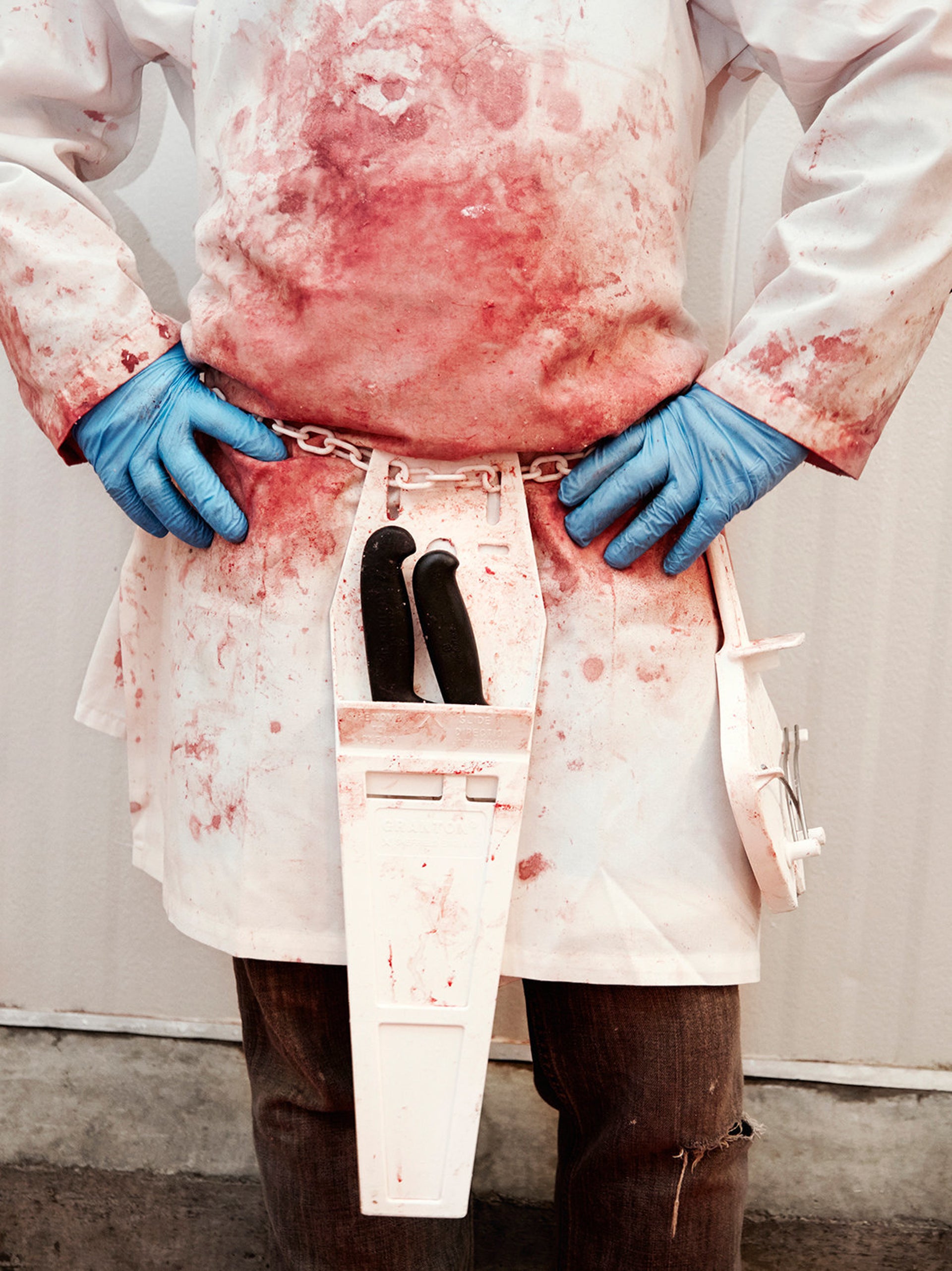 This Slaughterhouse Will Let You Watch What Actually Happens Inside ...