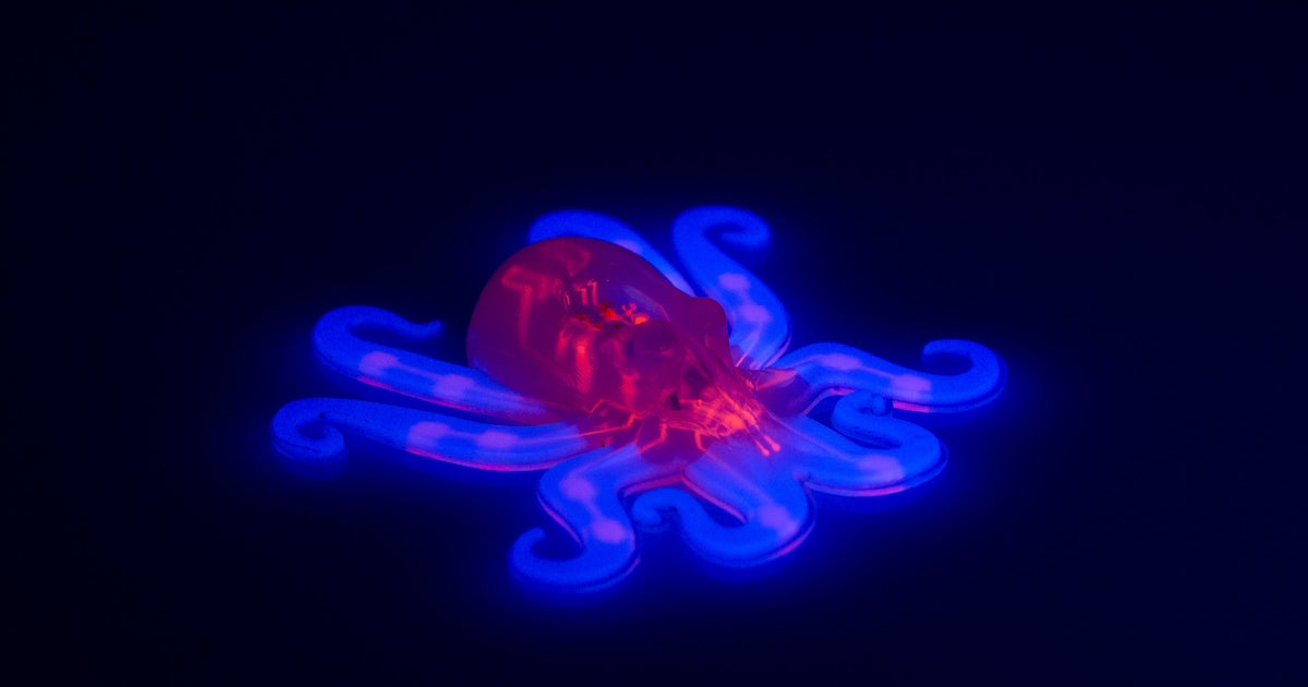 The World's First Autonomous, Soft Robot Resembles A Tiny Octopus ...