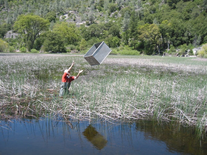 Hetch Hetchy Gushes Over Wetland | HuffPost Contributor
