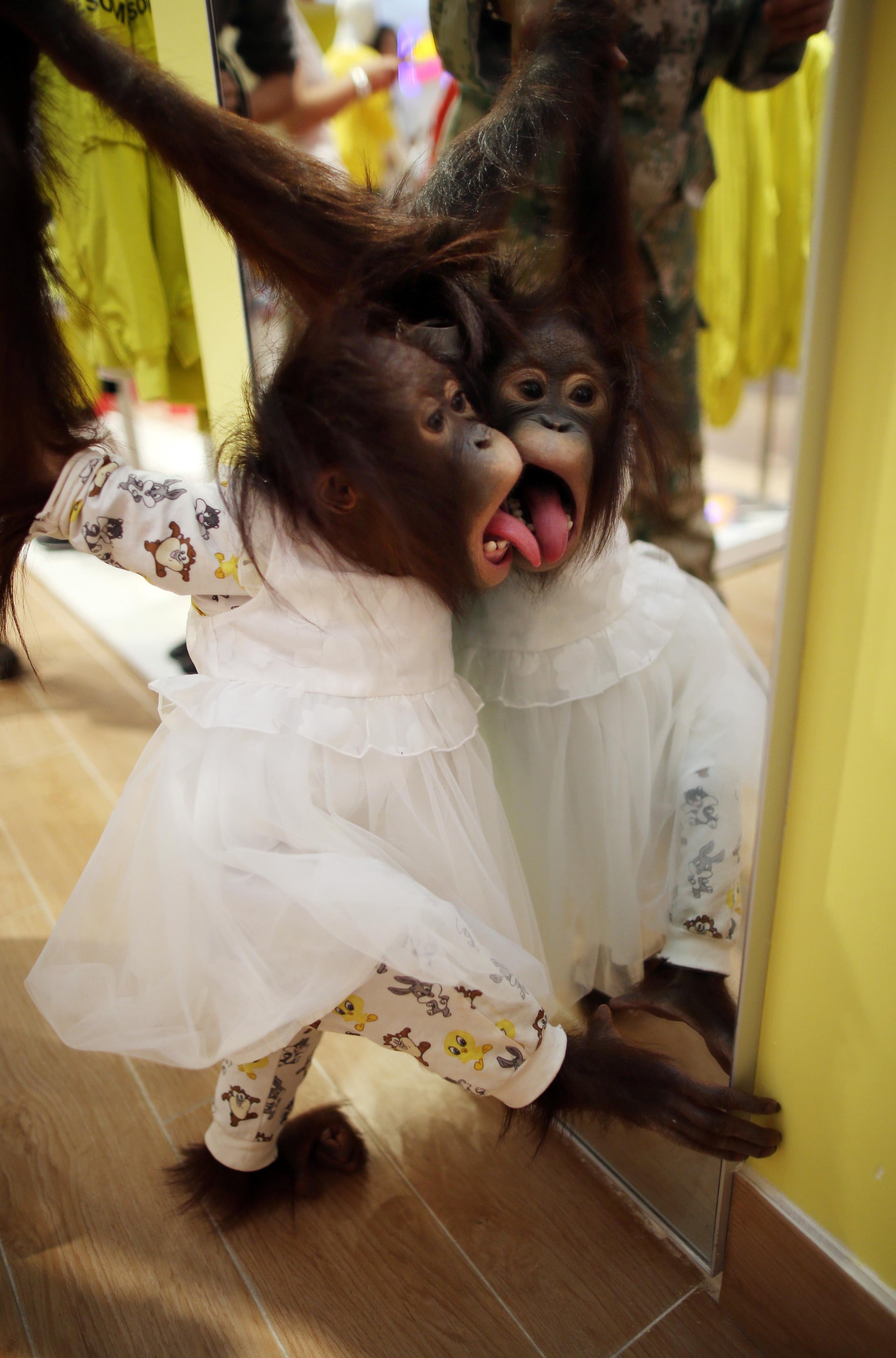 The 17 Most Awe-Inspiring Photos From This Week | HuffPost Entertainment