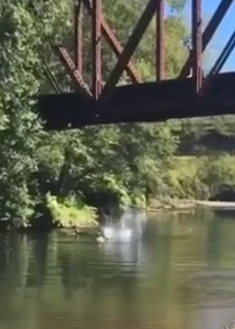 Video Shows Boy, Four, Being Thrown Off US Bridge Into A River By ...