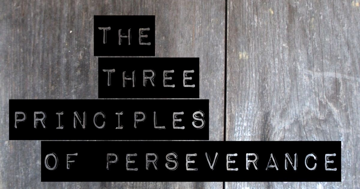 The Three Principles of Perseverance | HuffPost Contributor
