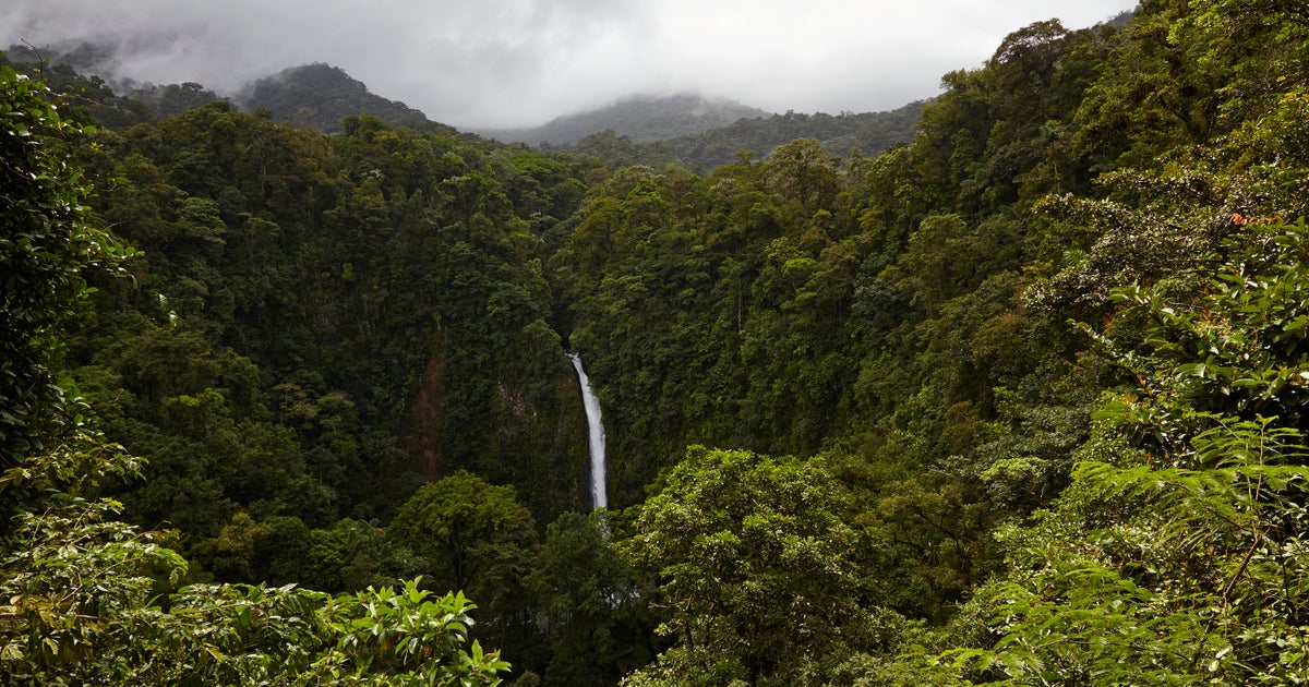Costa Rica Reaches 113 Days Without Any Fossil Fuels | HuffPost UK Tech