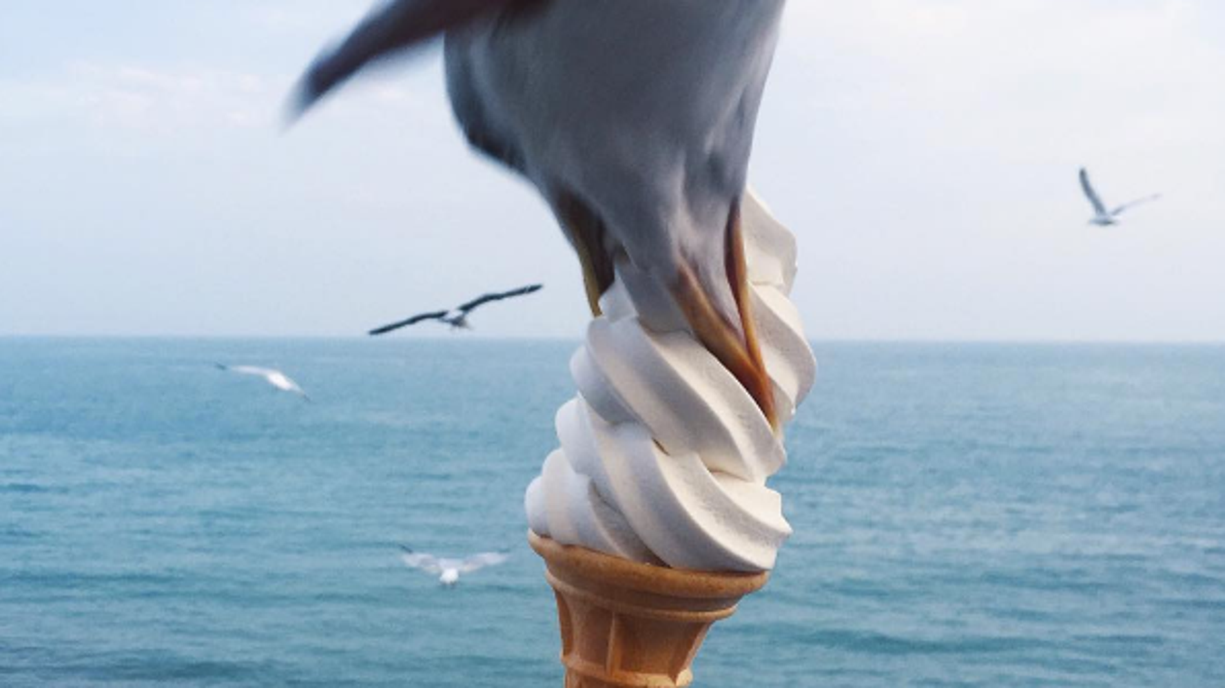 Seagull Steals Ice Cream (And It's Caught On Camera) | HuffPost Weird News