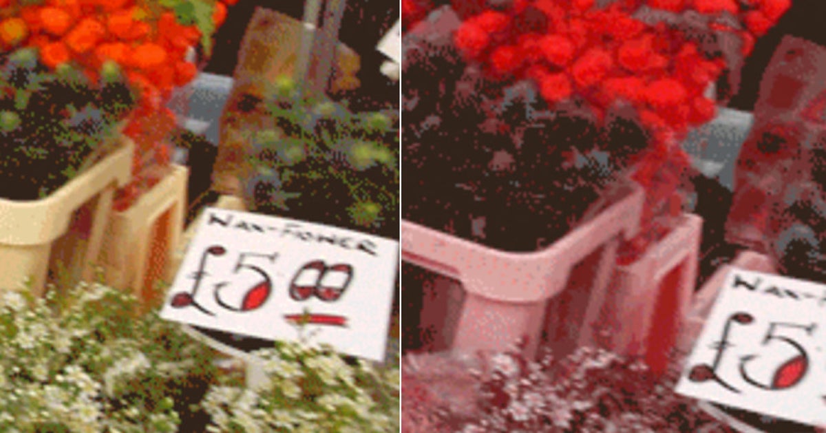 These Gifs Show What It's Really Like To Be Colour Blind | HuffPost UK Life
