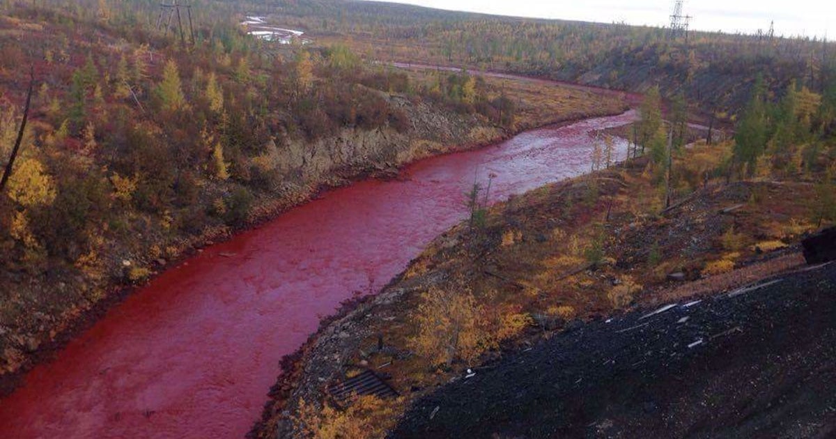 River Turns Blood Red, But Official At Nearby Factory Says It Looks ...