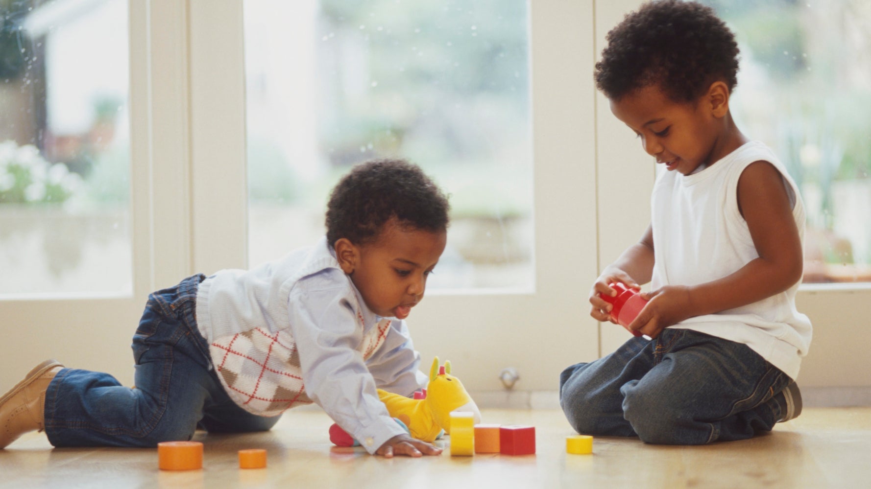 Chemicals In Household Dust Linked To Cancer And Infertility, Study ...