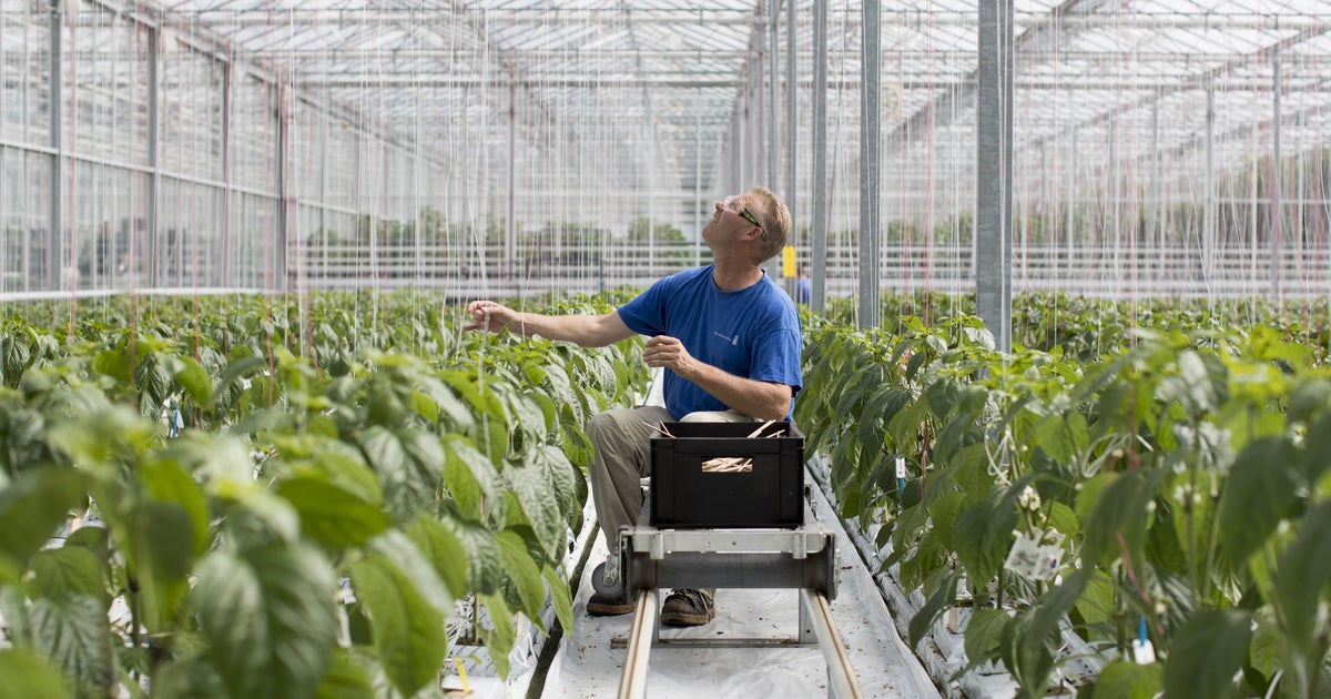 Monsanto Is Selling Itself For $66 Billion In Pesticide Mega-Merger ...