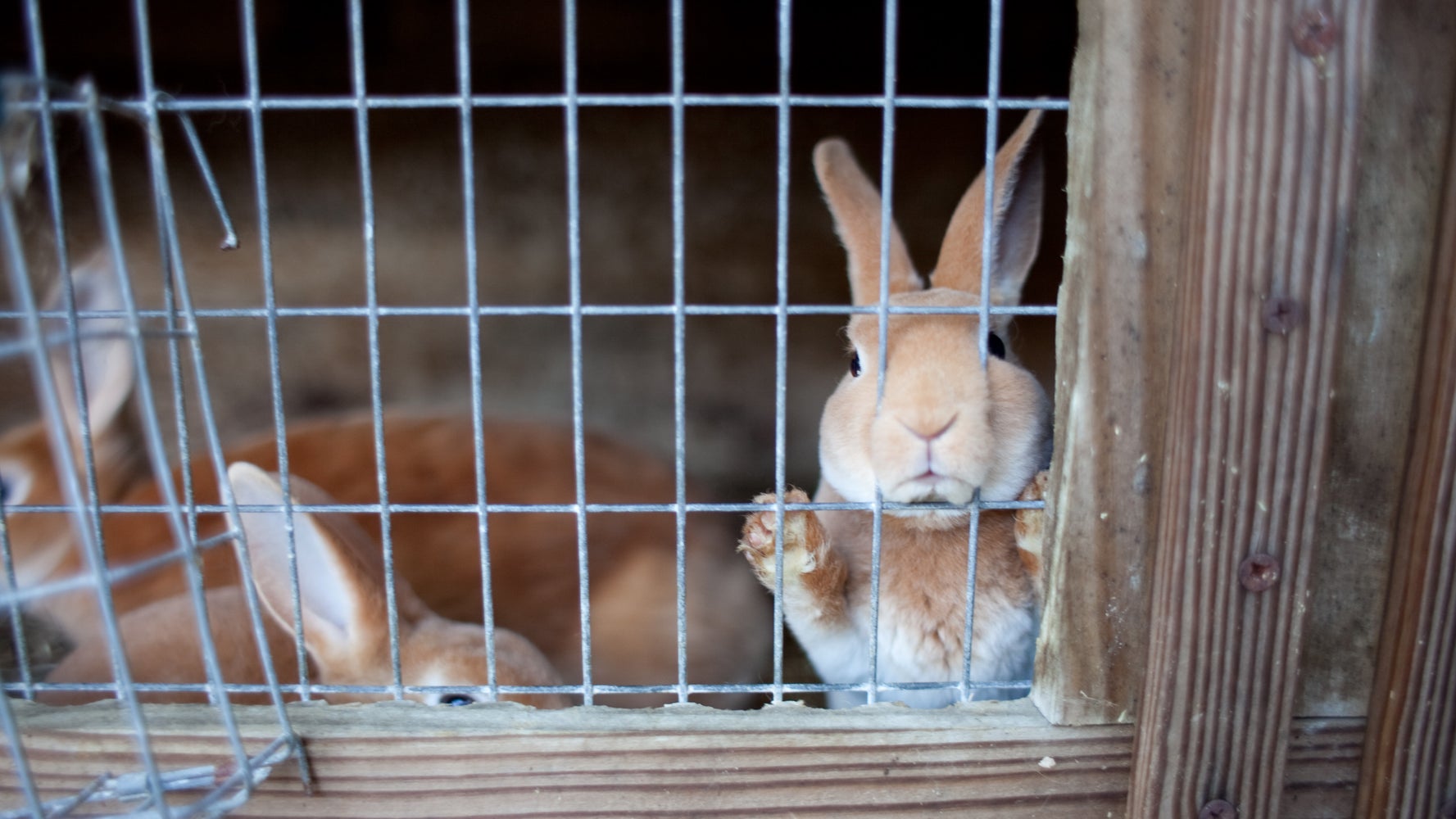 2 Simple Changes You Can Make That Will Change The Lives Of Countless ...