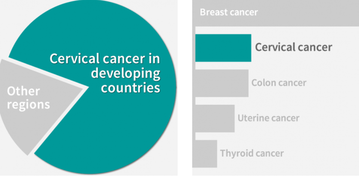 The ABC’s of the International Cervical Cancer Crisis | HuffPost ...