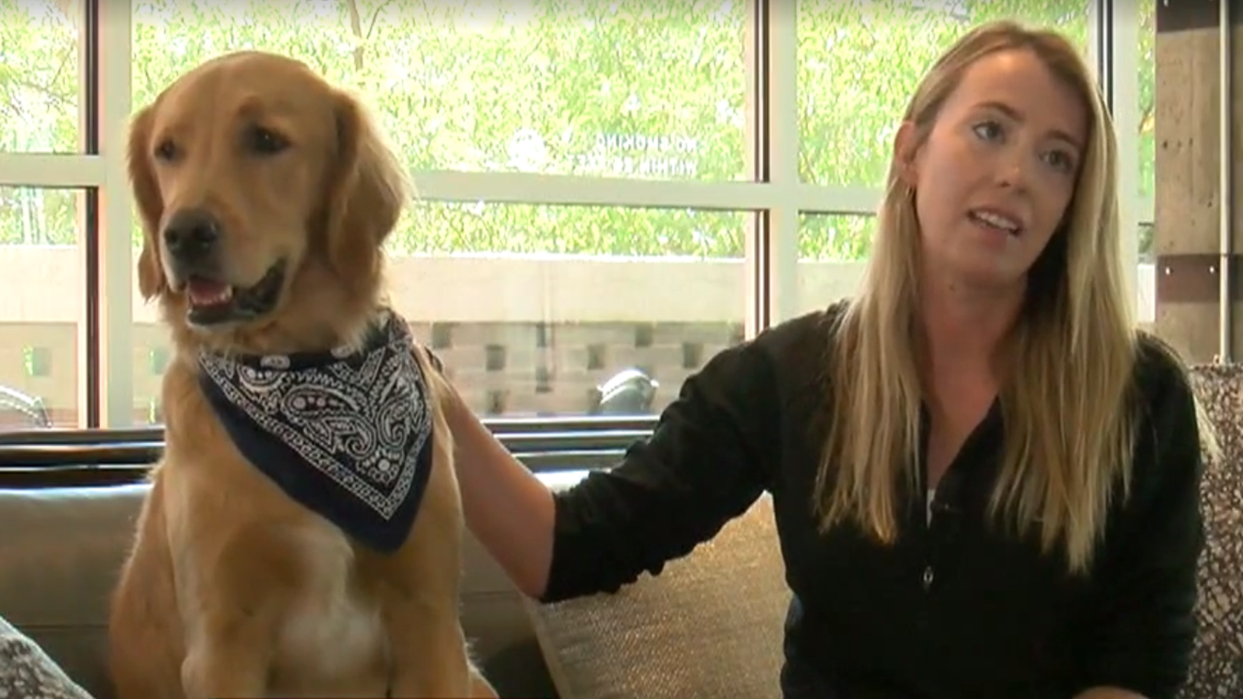 Dogs Get High After Alleged Drug Dealer Throws Heroin Over Fence | HuffPost