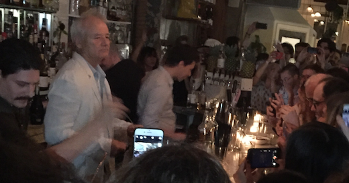 Bill Murray, Human Meme | HuffPost Entertainment