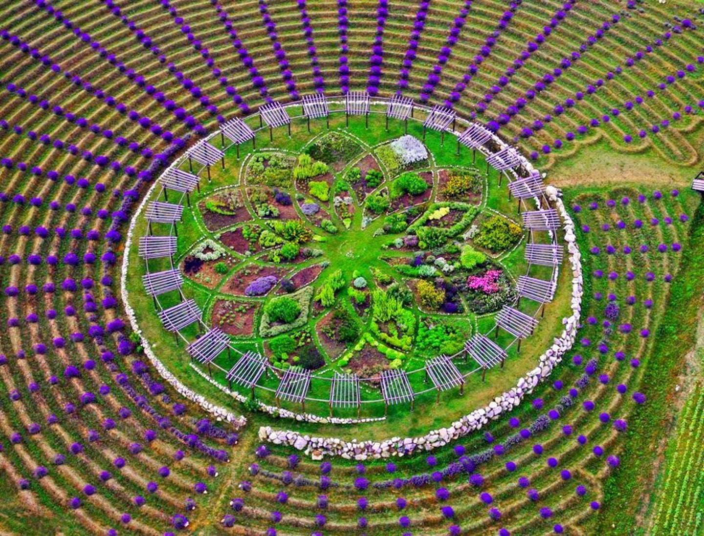 This Mesmerizing Lavender Labyrinth Is A Real-Life Fairytale | HuffPost ...