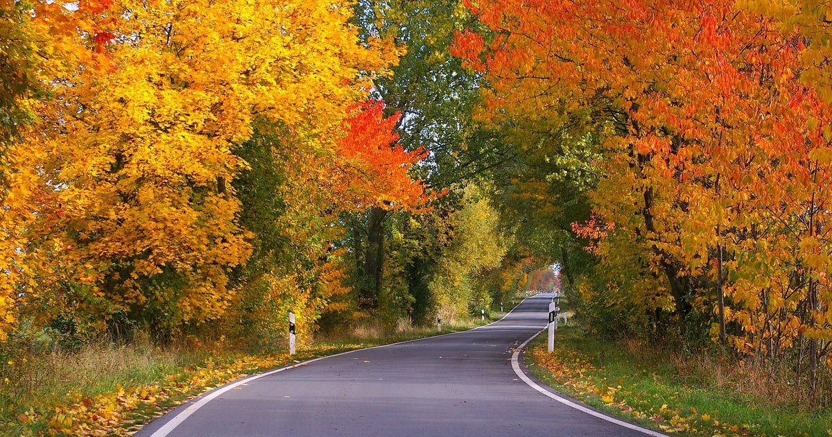 25 Reasons To Take A Western Massachusetts Fall Foliage Roadtrip This ...