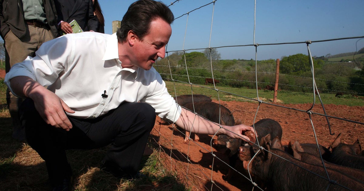 It's The Anniversary Of #PigGate, The Day We Heard Of David Cameron's ...