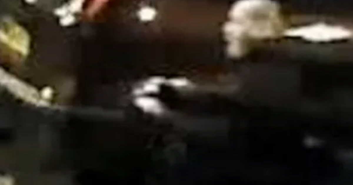 'Bald Man' On Mobility Scooter Used As Getaway Driver By Crime Gang In ...