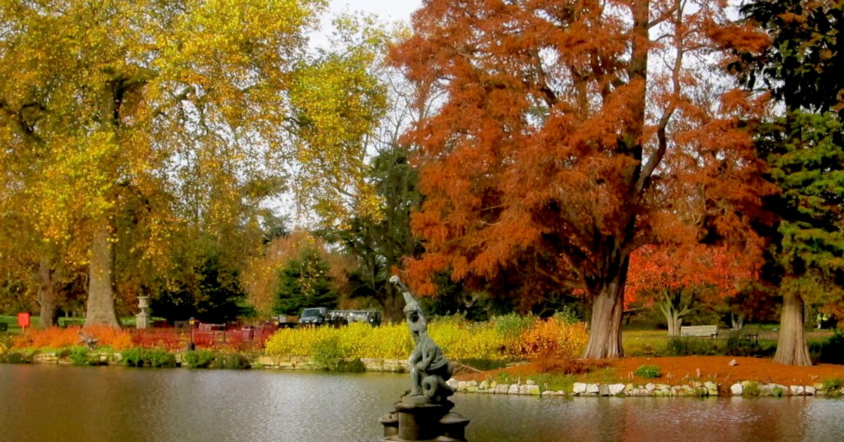 The 5 Best Places For Fall Foliage In London | HuffPost Contributor